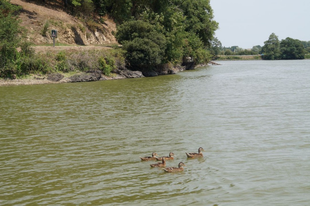 Découvrez les merveilles locales avec la Résidence du Lac à Maché